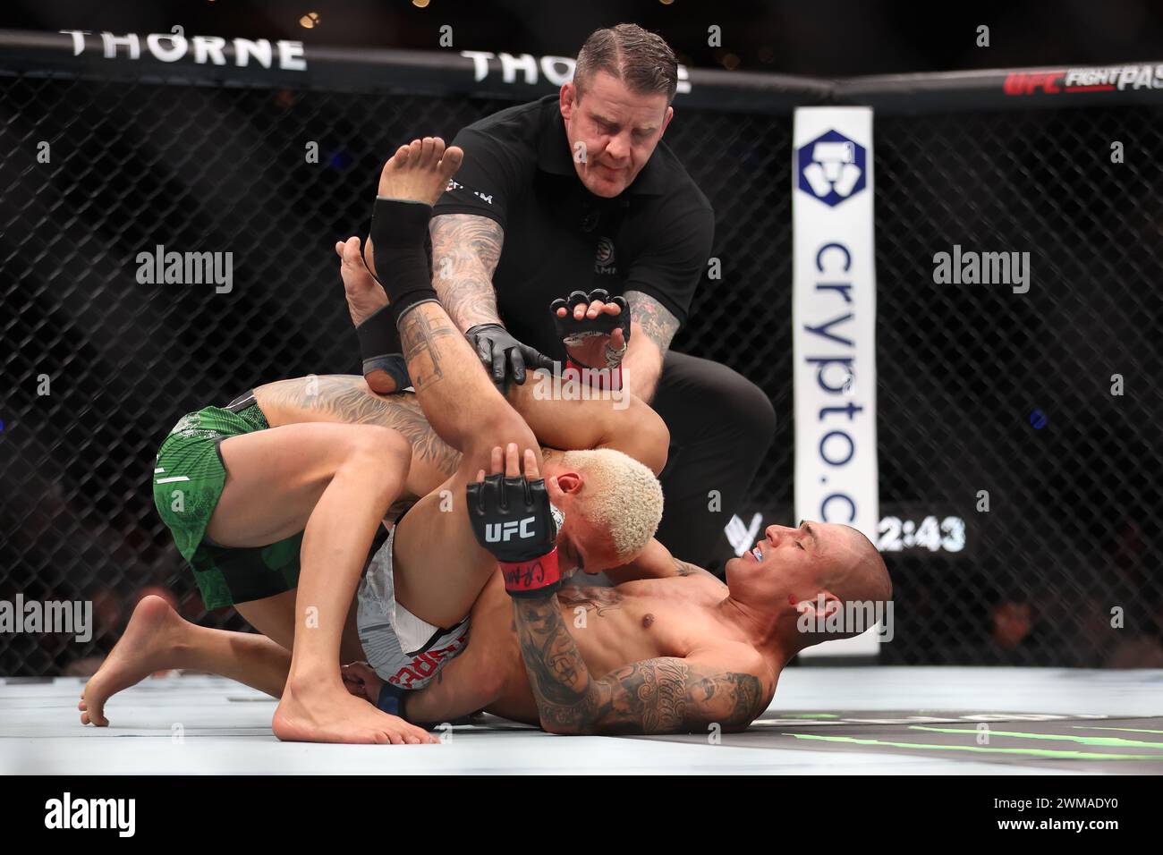 Mexico City, Mexico. 24th Feb, 2024. MEXICO CITY, MEX - February 24 ...