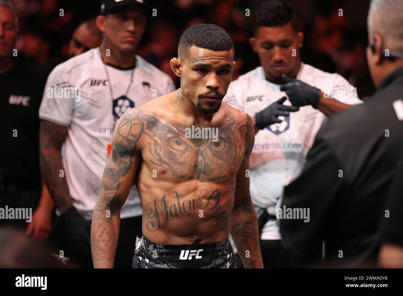 Mexico City, Mexico. 24th Feb, 2024. MEXICO CITY, MEX - February 24 ...