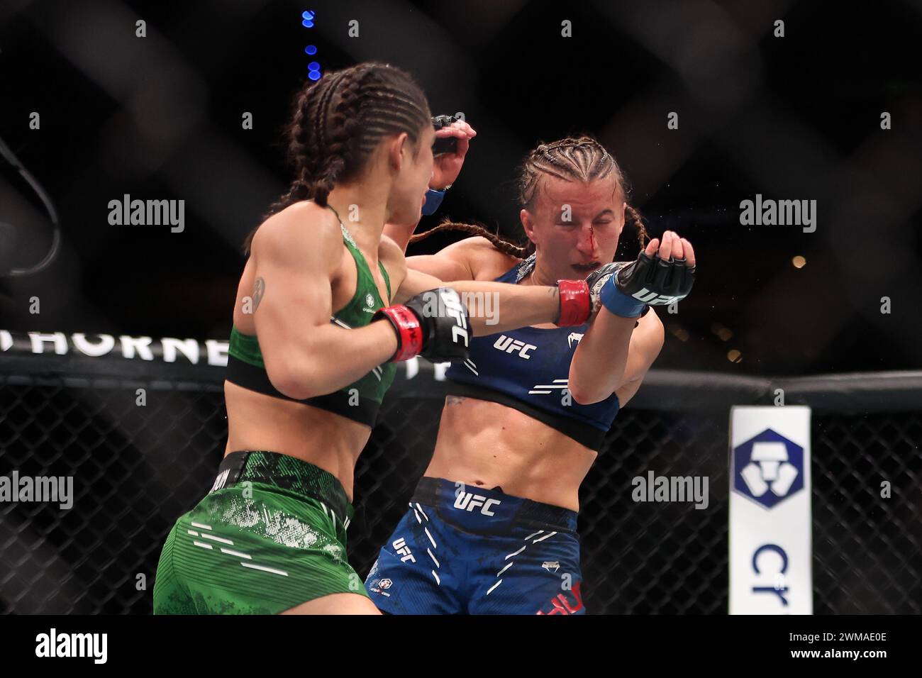 Mexico City, Mexico. 24th Feb, 2024. MEXICO CITY, MEX - February 24 ...