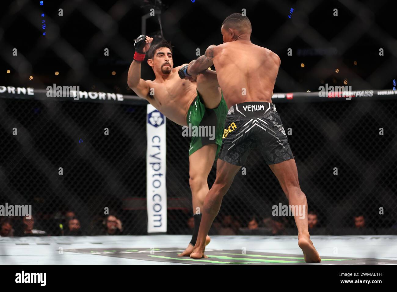 Mexico City, Mexico. 24th Feb, 2024. MEXICO CITY, MEX - February 24 ...