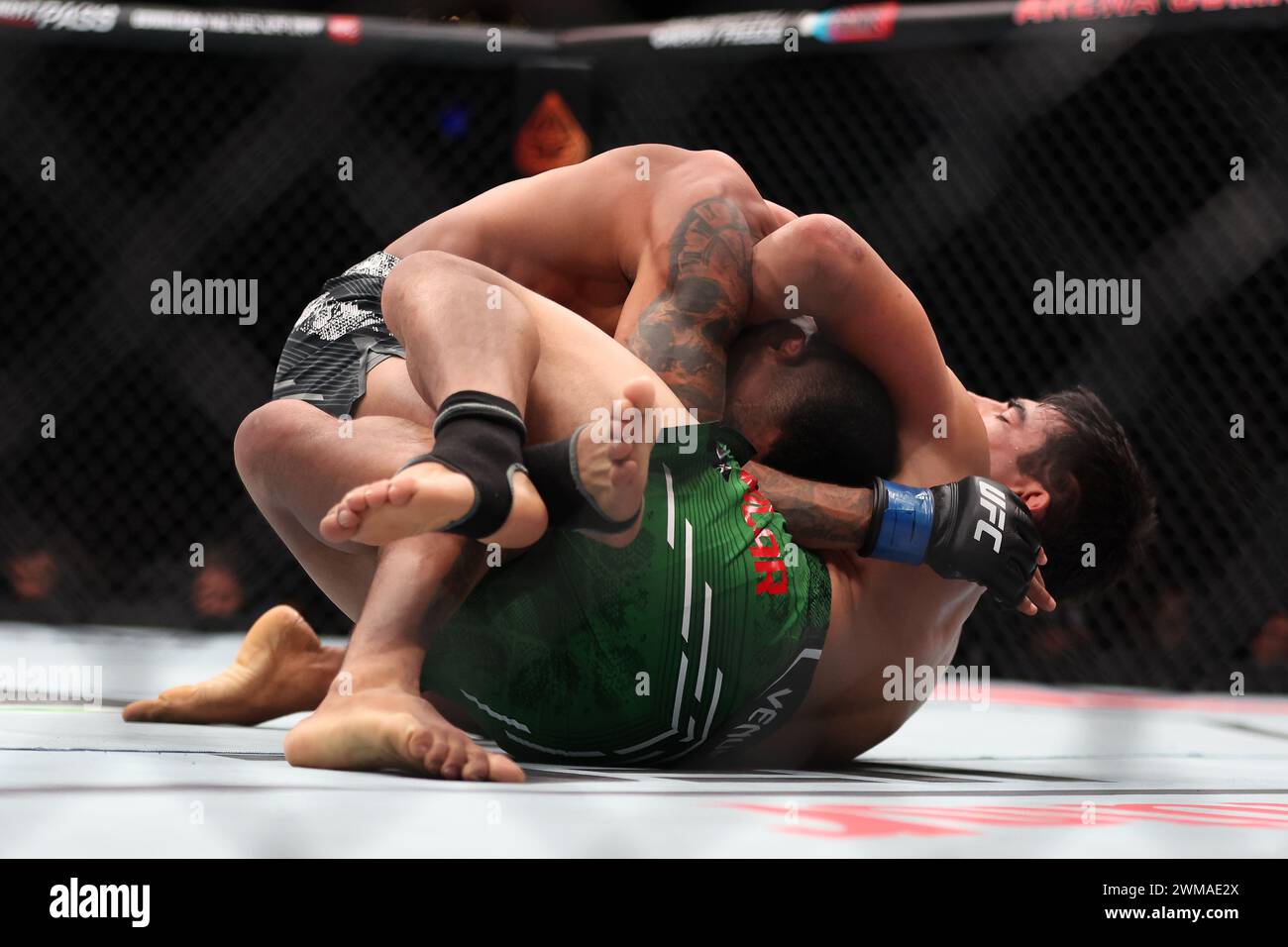Mateus mendonca hi-res stock photography and images - Alamy