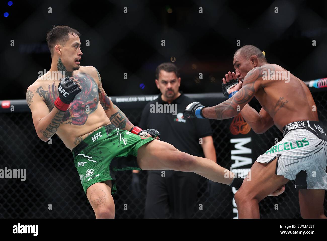 Mexico City, Mexico. 24th Feb, 2024. MEXICO CITY, MEX - February 24 ...