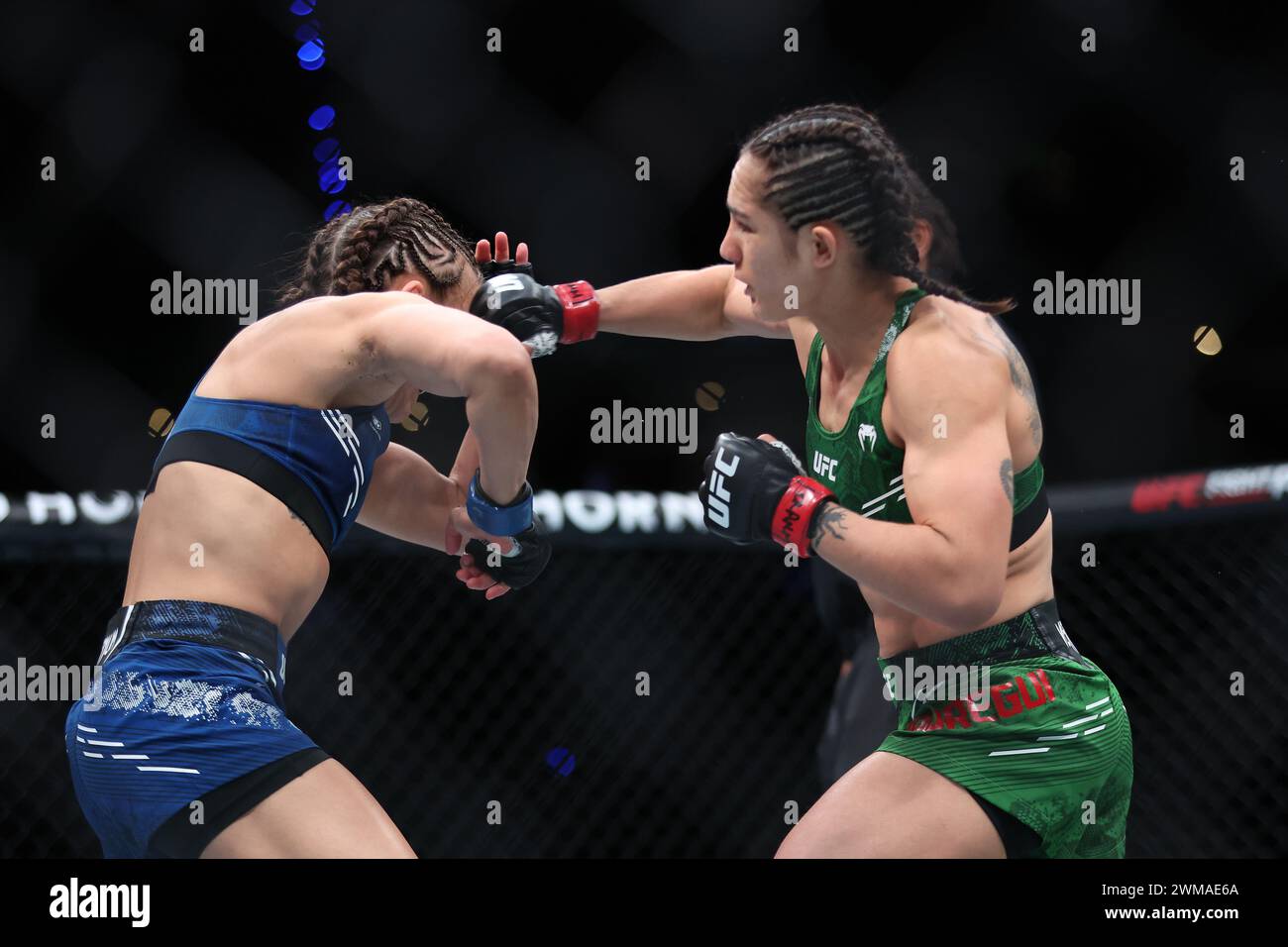 Mexico City, Mexico. 24th Feb, 2024. MEXICO CITY, MEX - February 24 ...