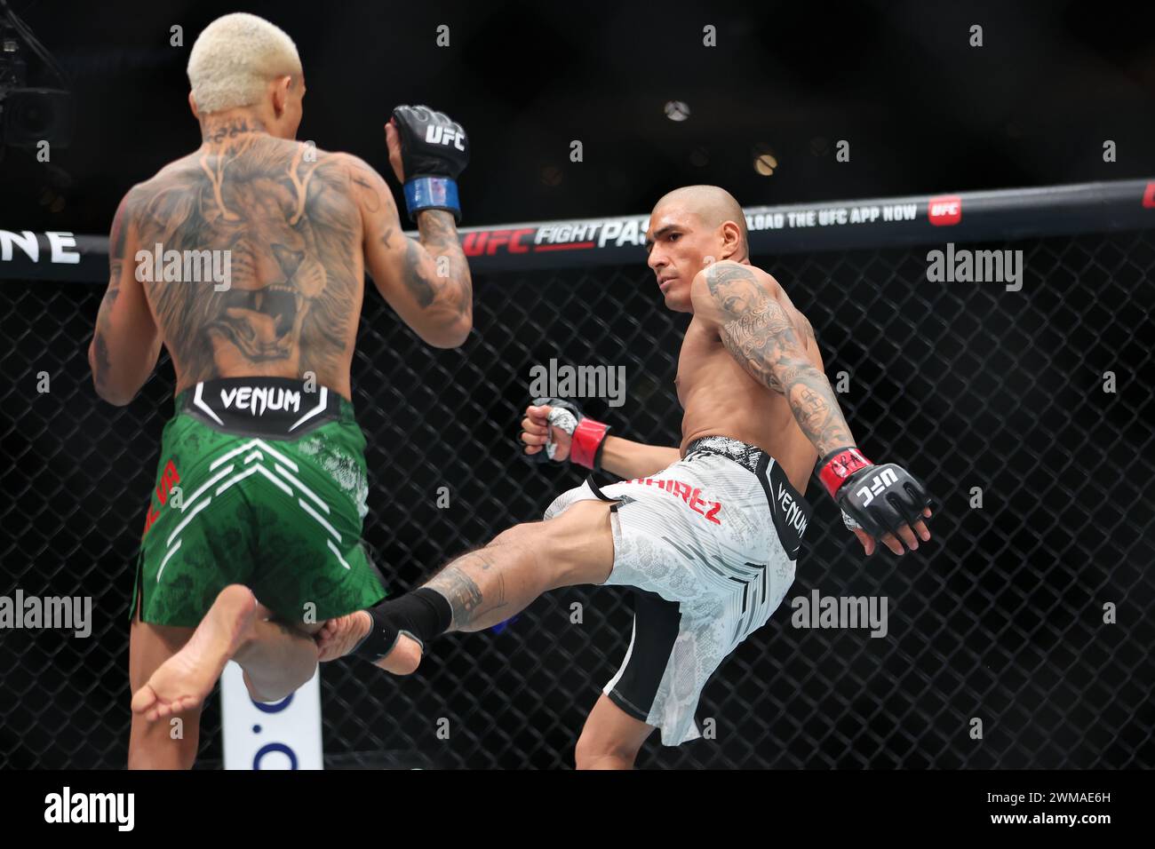 Edgar chairez and daniel lacerda hi-res stock photography and images ...