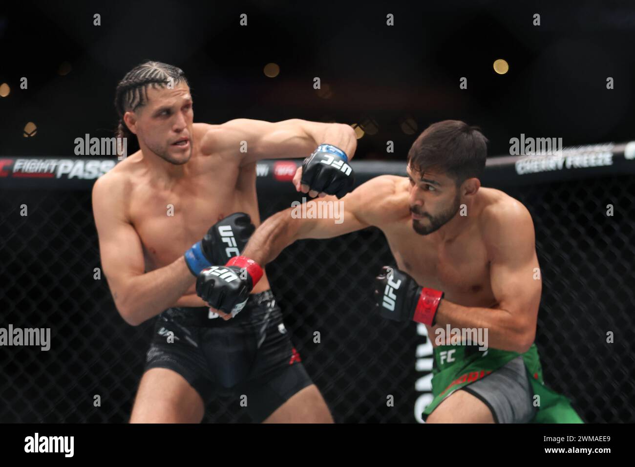 Mexico City, Mexico. 24th Feb, 2024. MEXICO CITY, MEX - February 24 ...