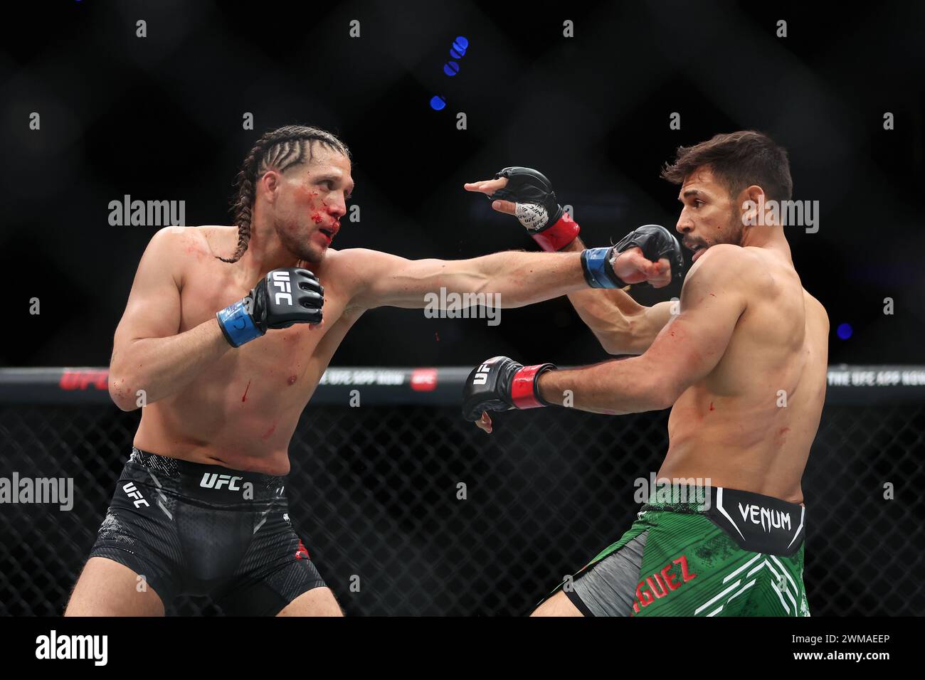 Mexico City, Mexico. 24th Feb, 2024. MEXICO CITY, MEX - February 24 ...