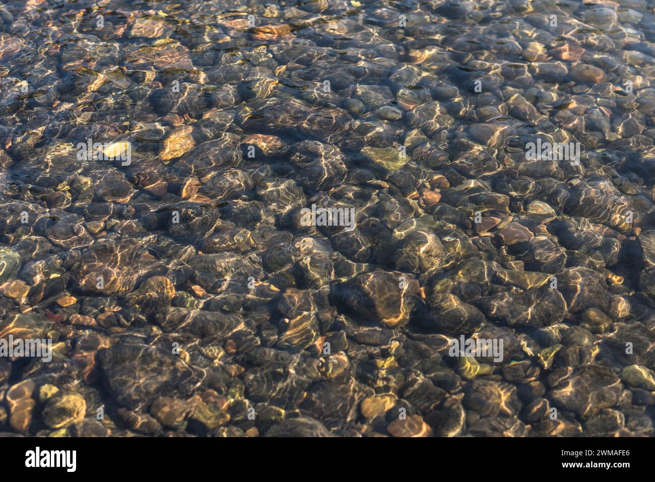 Clear river water and pebbles Stock Photo - Alamy
