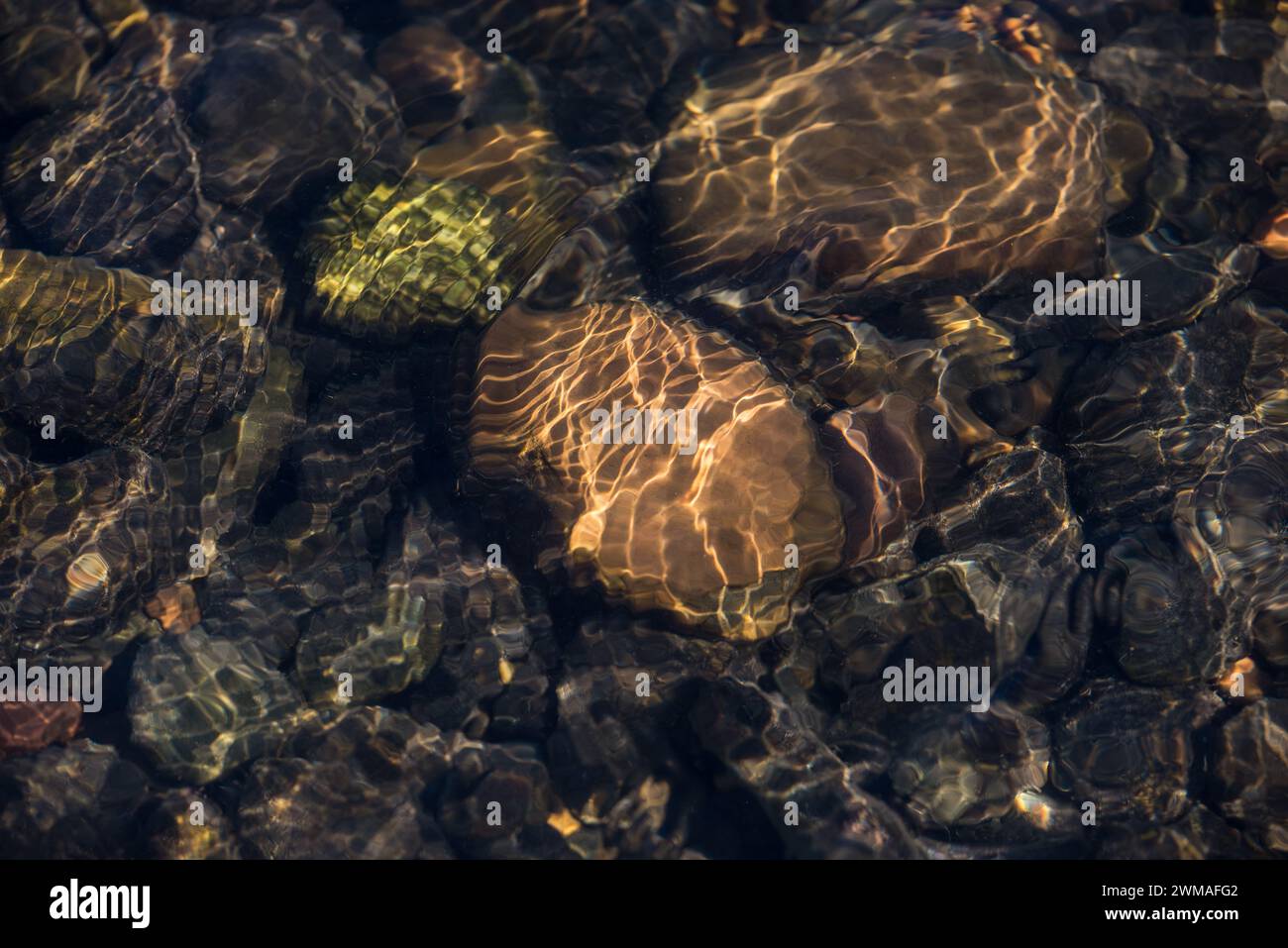 Clear river water and pebbles Stock Photo - Alamy