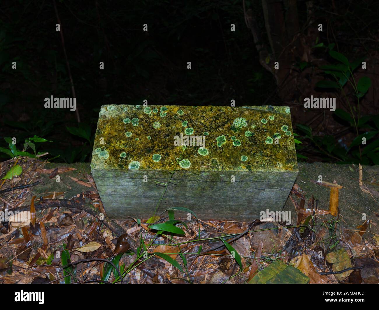 Moss covered tablet hi-res stock photography and images - Alamy
