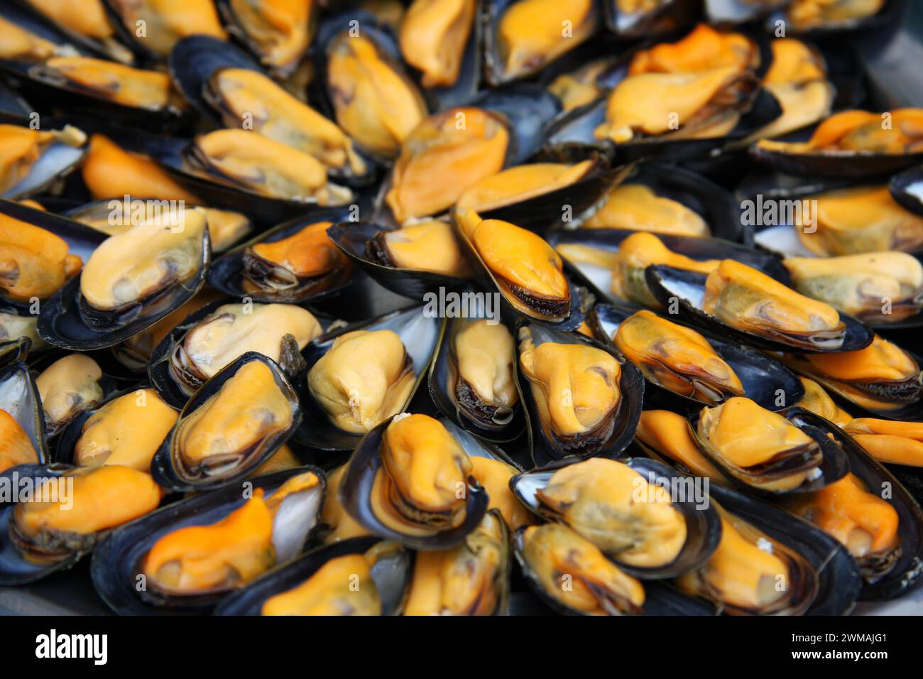 Mussels french hi-res stock photography and images - Alamy