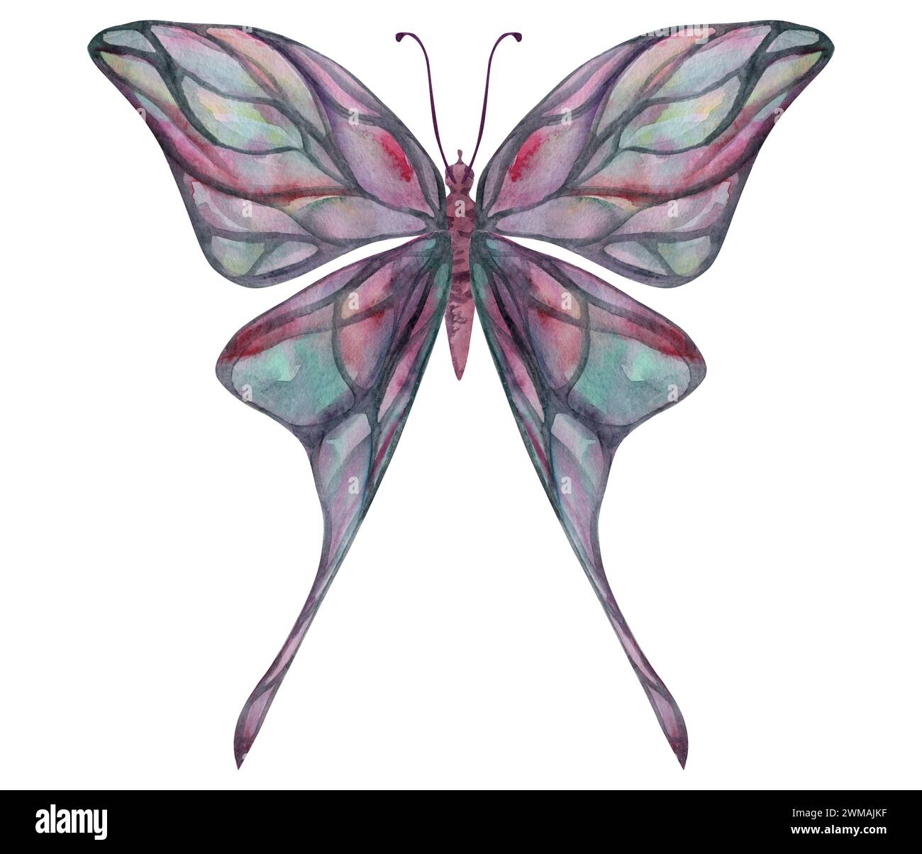 Hand drawn watercolor illustration butterfly fairy wings gem crystal ...