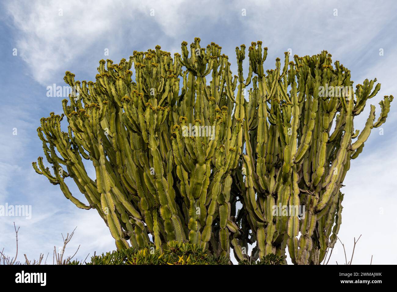 Cielo enorme hi-res stock photography and images - Alamy