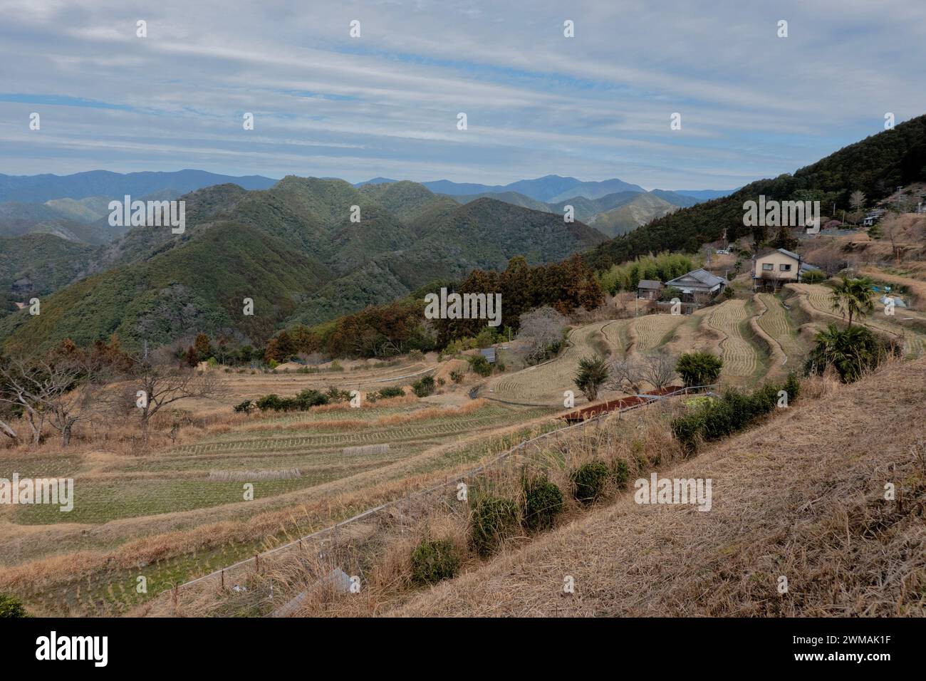 Viewpoint along the Nakahechi Kumano Kodo pilgrimage route, Takahara ...