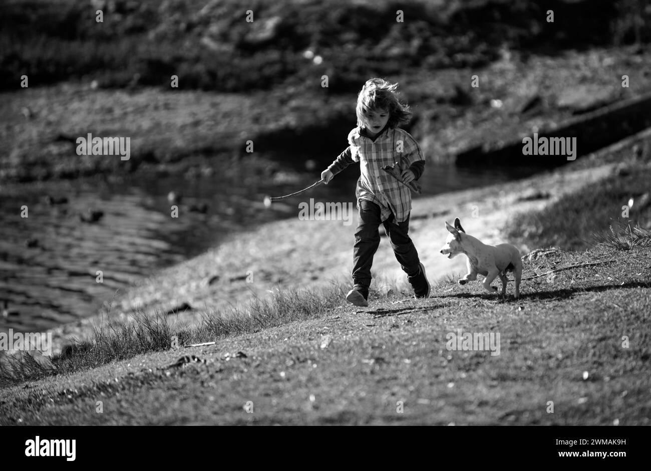 Child and Funny Dog run on the Green Park. Little Boy Racing the Puppy ...