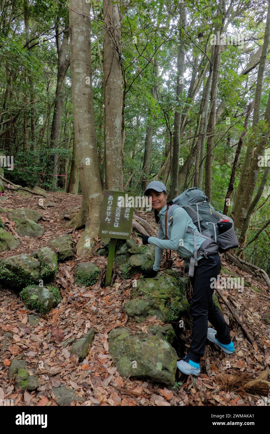 Trekking through the deep forests of the Kumano Kodo pilgrimage route ...
