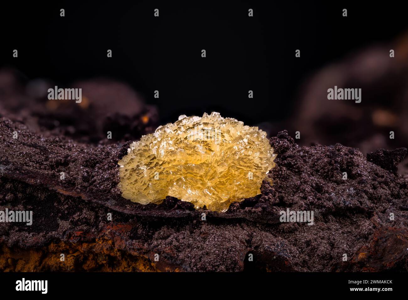 austinite crystals. Fom Ojuela Mine, Mapimi, Durango, Mexico. macro ...