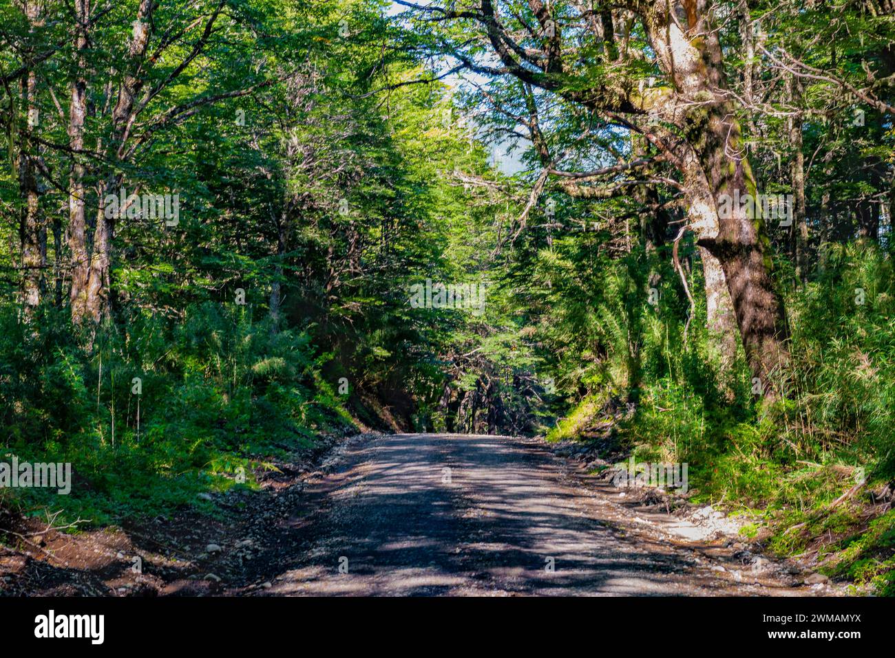 Trekking through Peulla, Chile, Andean Crossing Stock Photo - Alamy