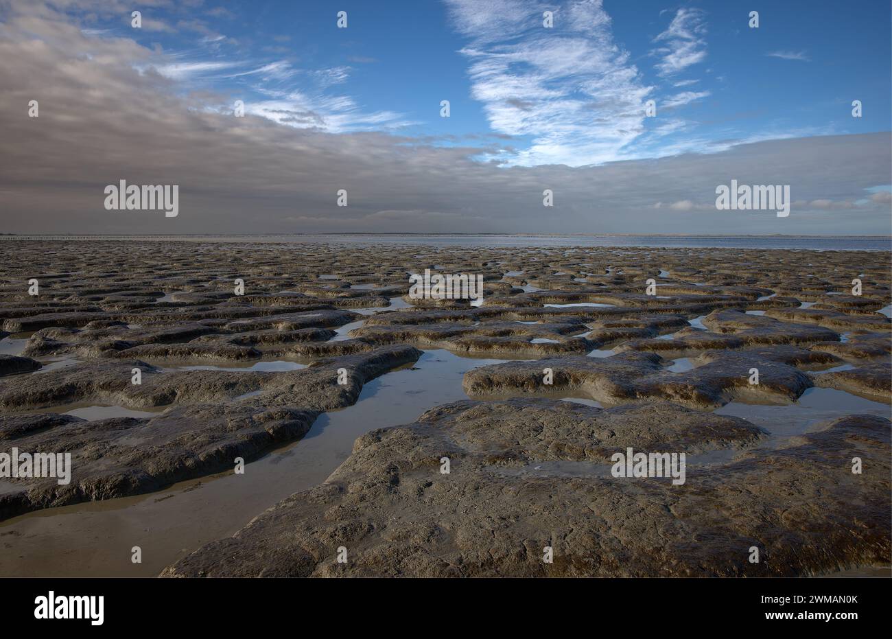 Lowtide in the Dutch mudflats Stock Photo - Alamy
