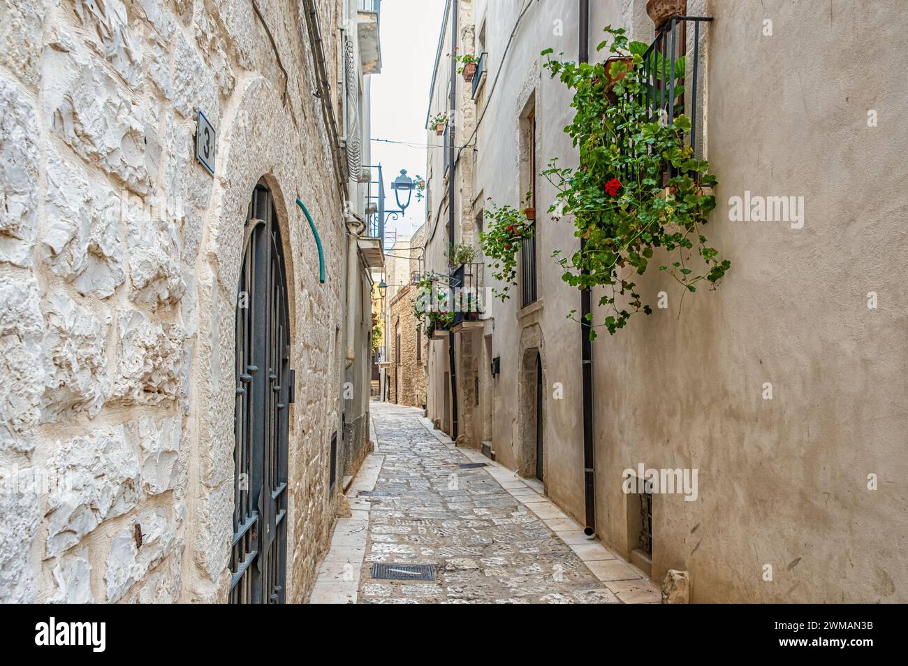 narrow street of the medieval town of Bitetto, Bari province, Puglia ...
