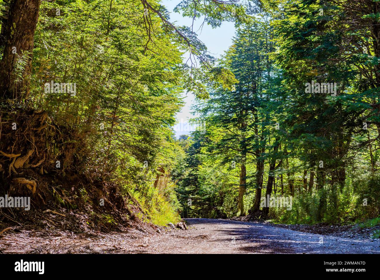 Trekking through Peulla, Chile, Andean Crossing Stock Photo - Alamy