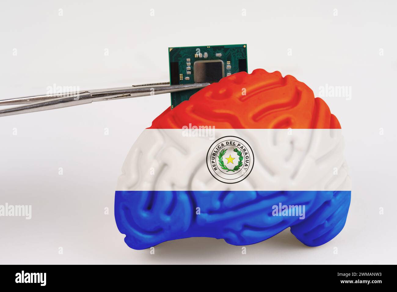 On a white background, a model of the brain with a picture of a flag ...