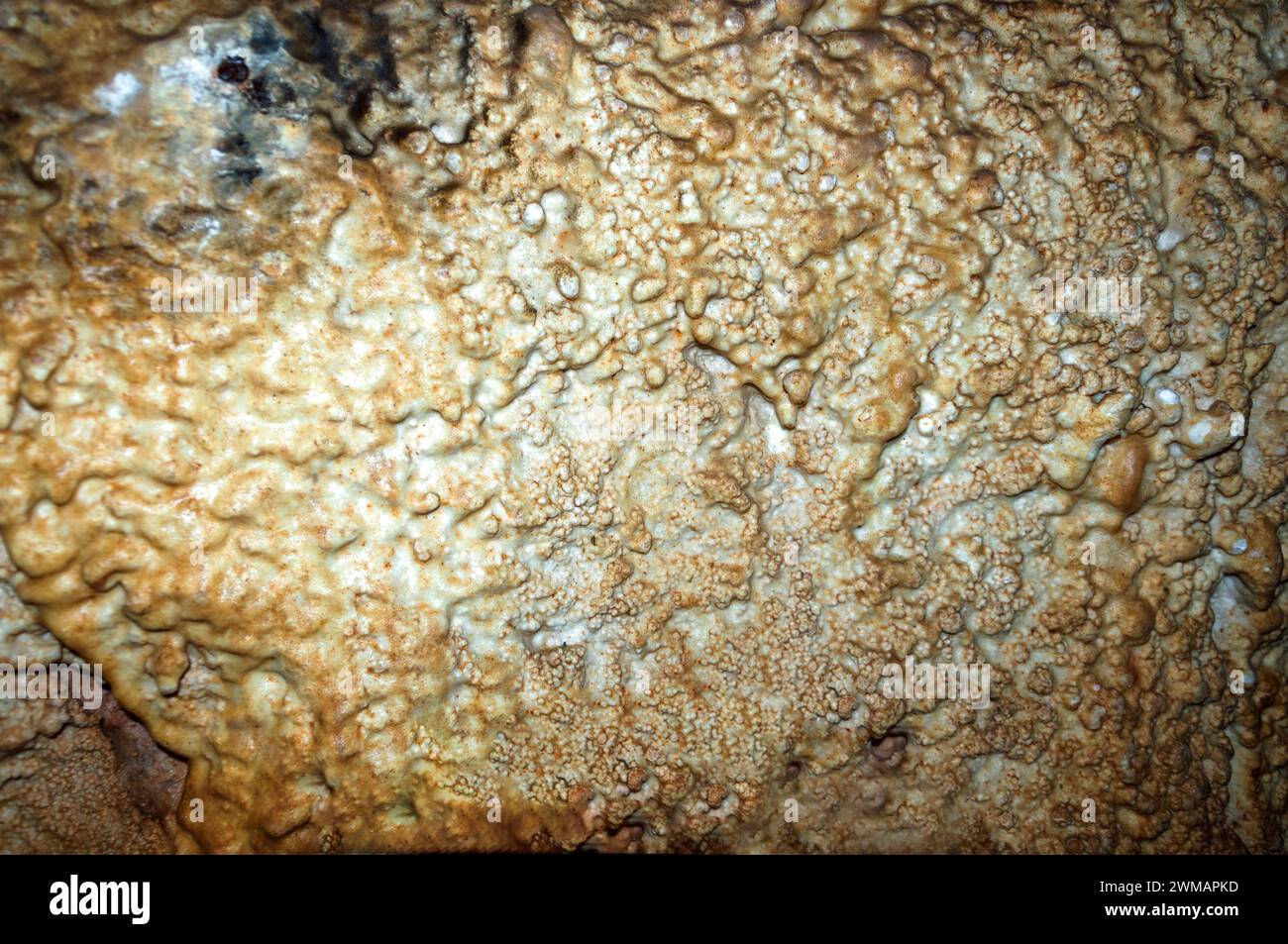 Crimea, Ukraine. Stalactites, stalagmites on the walls of the Emine ...