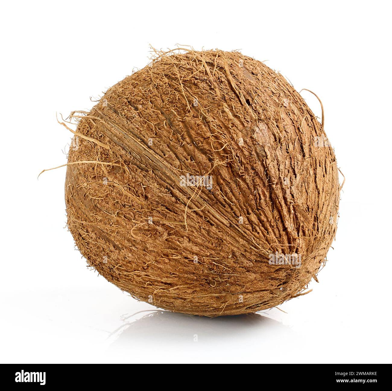 fresh coconut fruit isolated on white background Stock Photo - Alamy