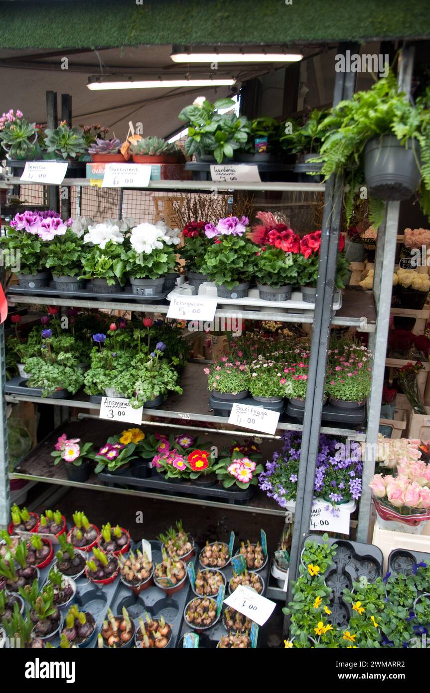 The Flowered Corner Flower shop, Lancaster Road, Notting Hill, Royal ...