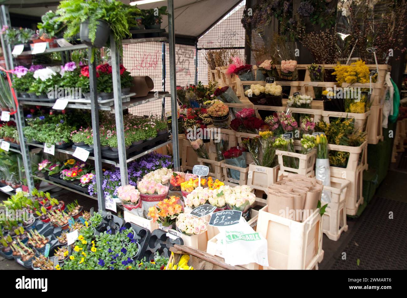 The Flowered Corner Flower shop, Lancaster Road, Notting Hill, Royal ...