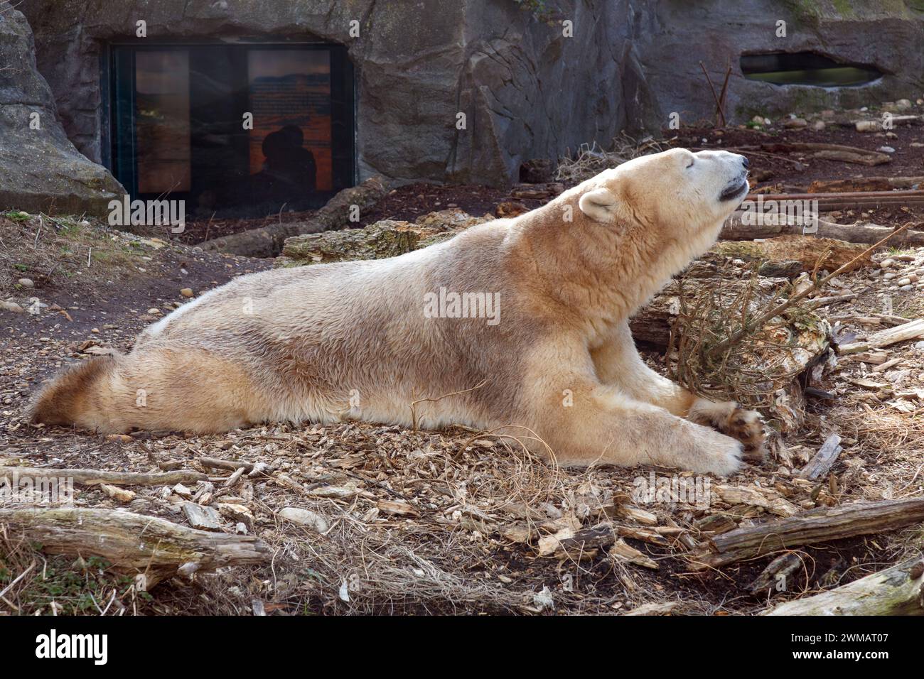 Family day out vienna hi-res stock photography and images - Alamy