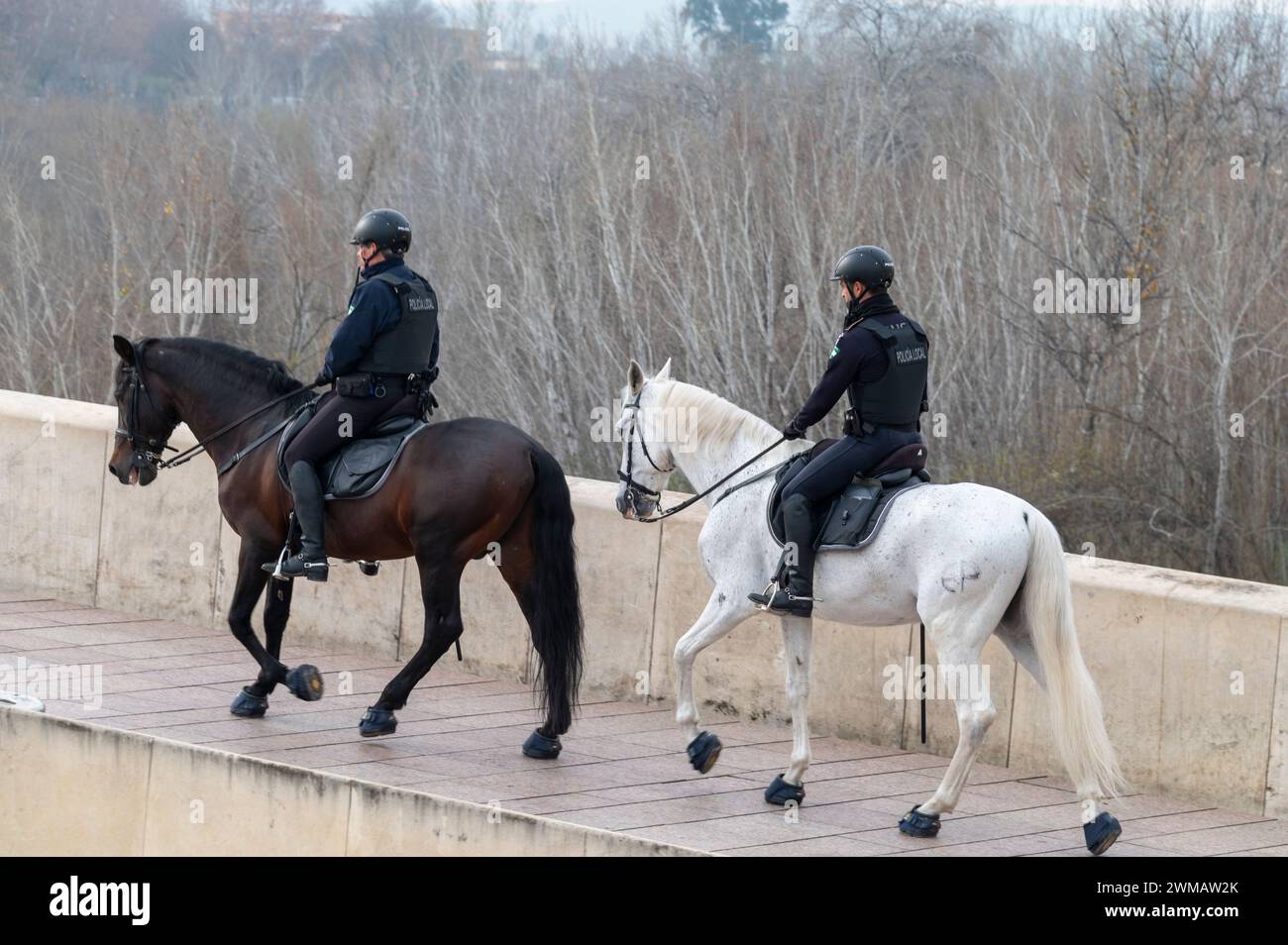 Cordoba mounted police officer hi-res stock photography and images - Alamy