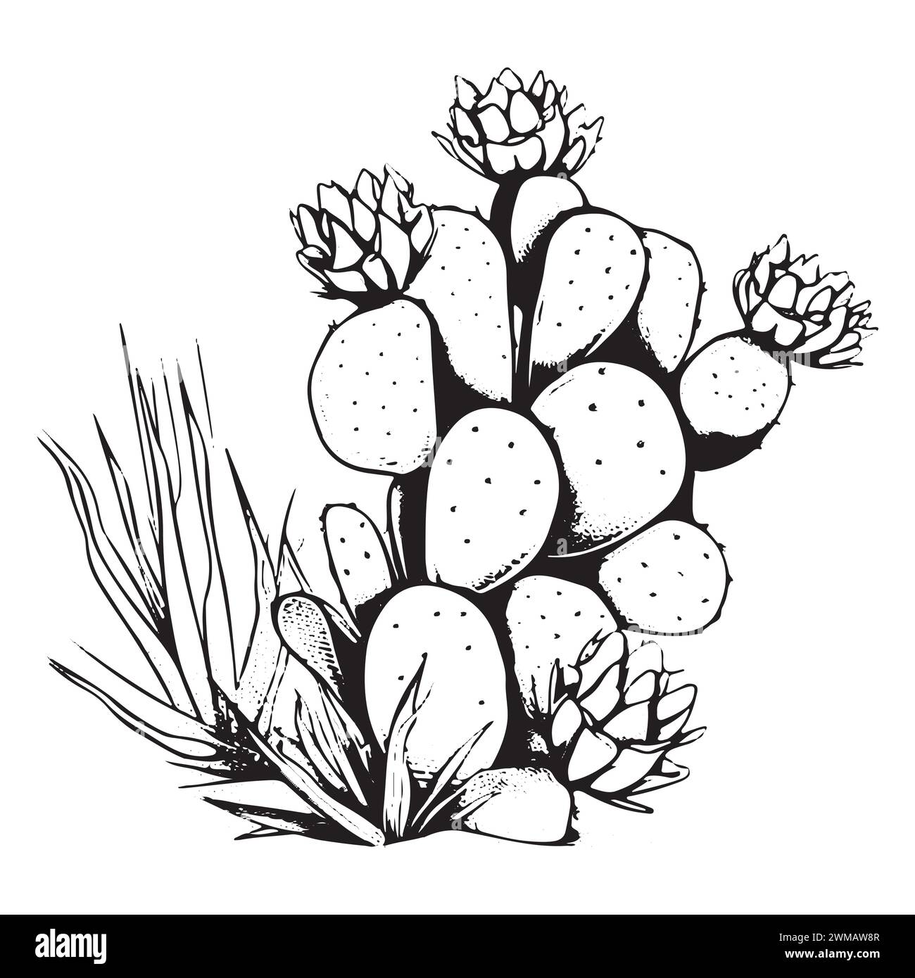 Hand Drawn Sketched Outline Cactus Silhouette. Mexican Plant Realistic ...