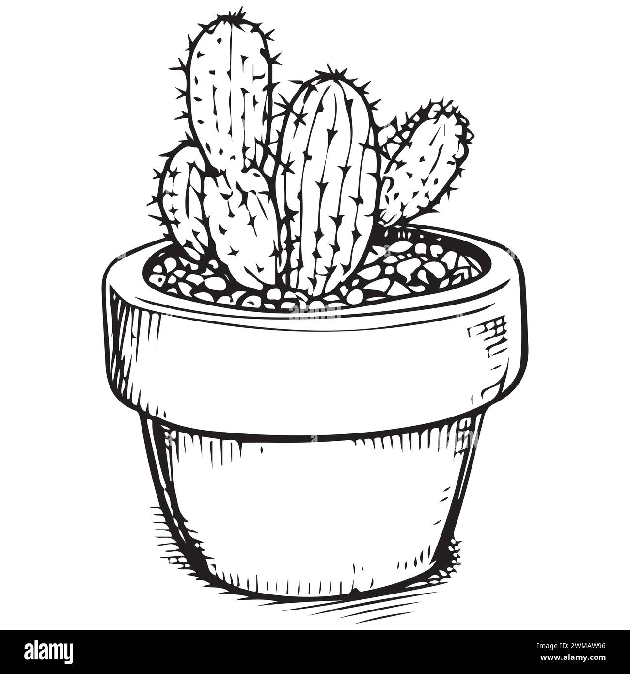Hand Drawn Sketched Outline Cactus Silhouette. Mexican Plant Realistic ...