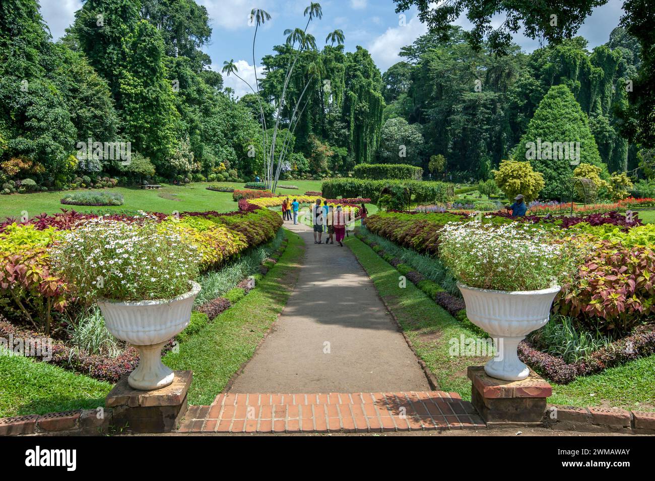 The Coleus border in the Flower garden near the Orchid house at the ...