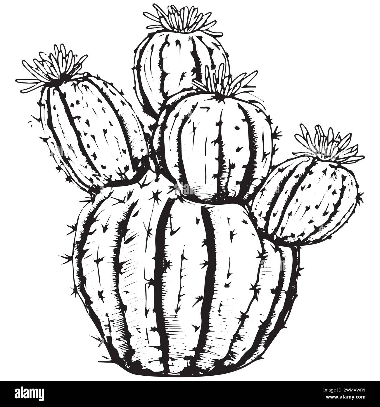 Hand Drawn Sketched Outline Cactus Silhouette. Mexican Plant Realistic ...