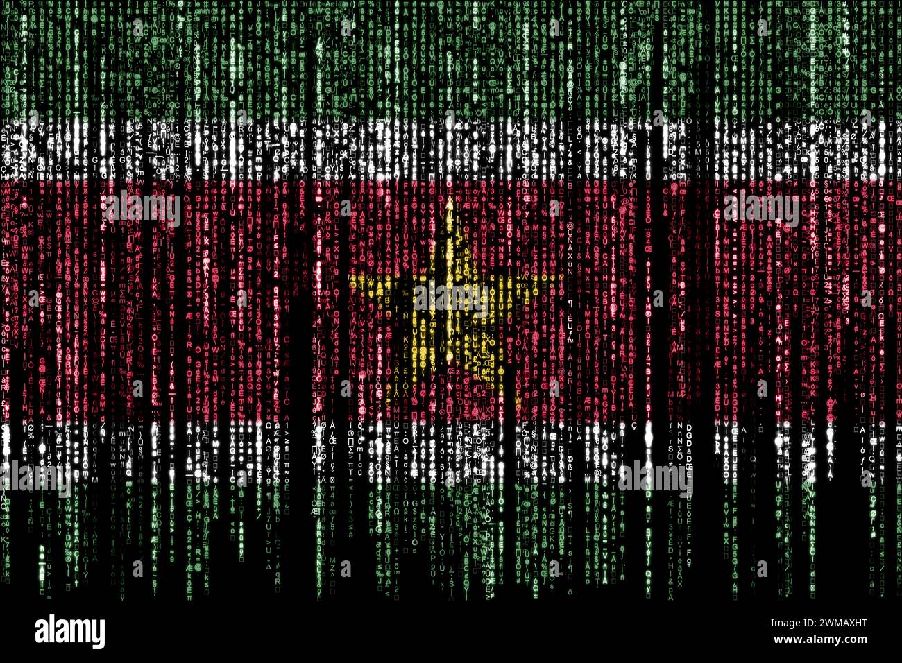 Flag of Suriname on a computer binary codes falling from the top and ...