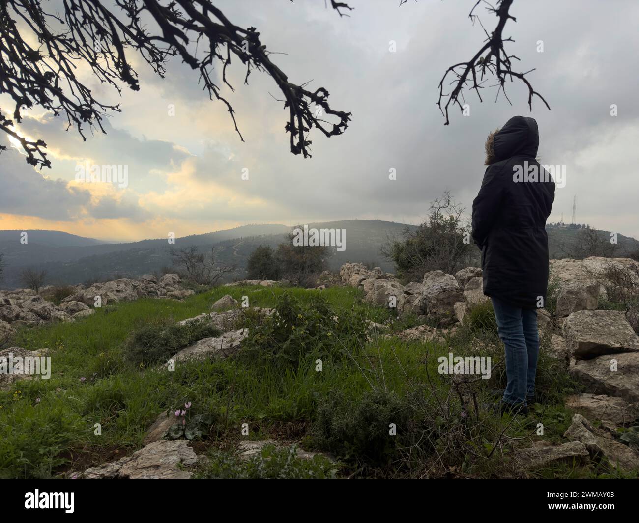 Sataf hi-res stock photography and images - Alamy