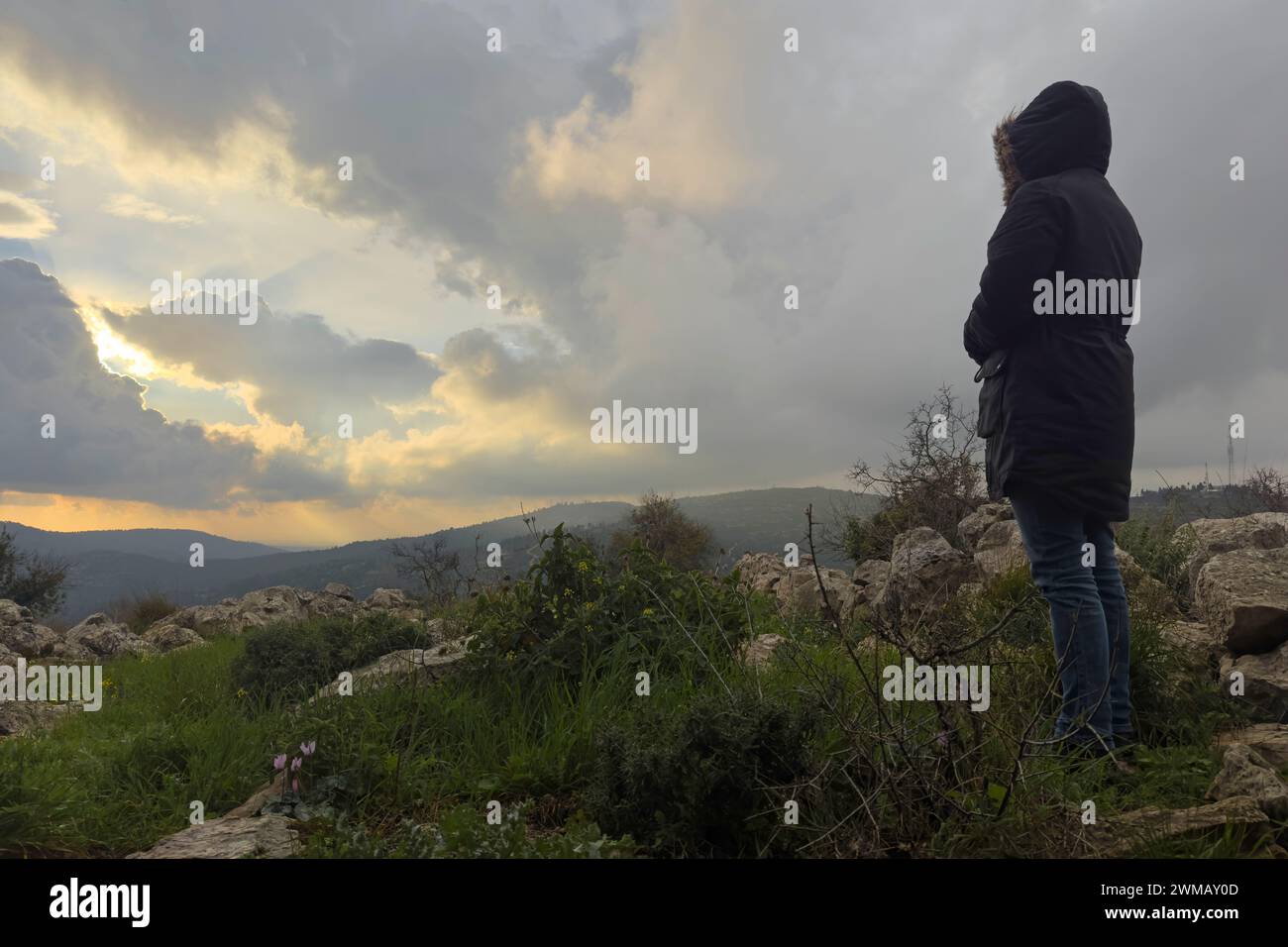 Sataf hi-res stock photography and images - Alamy