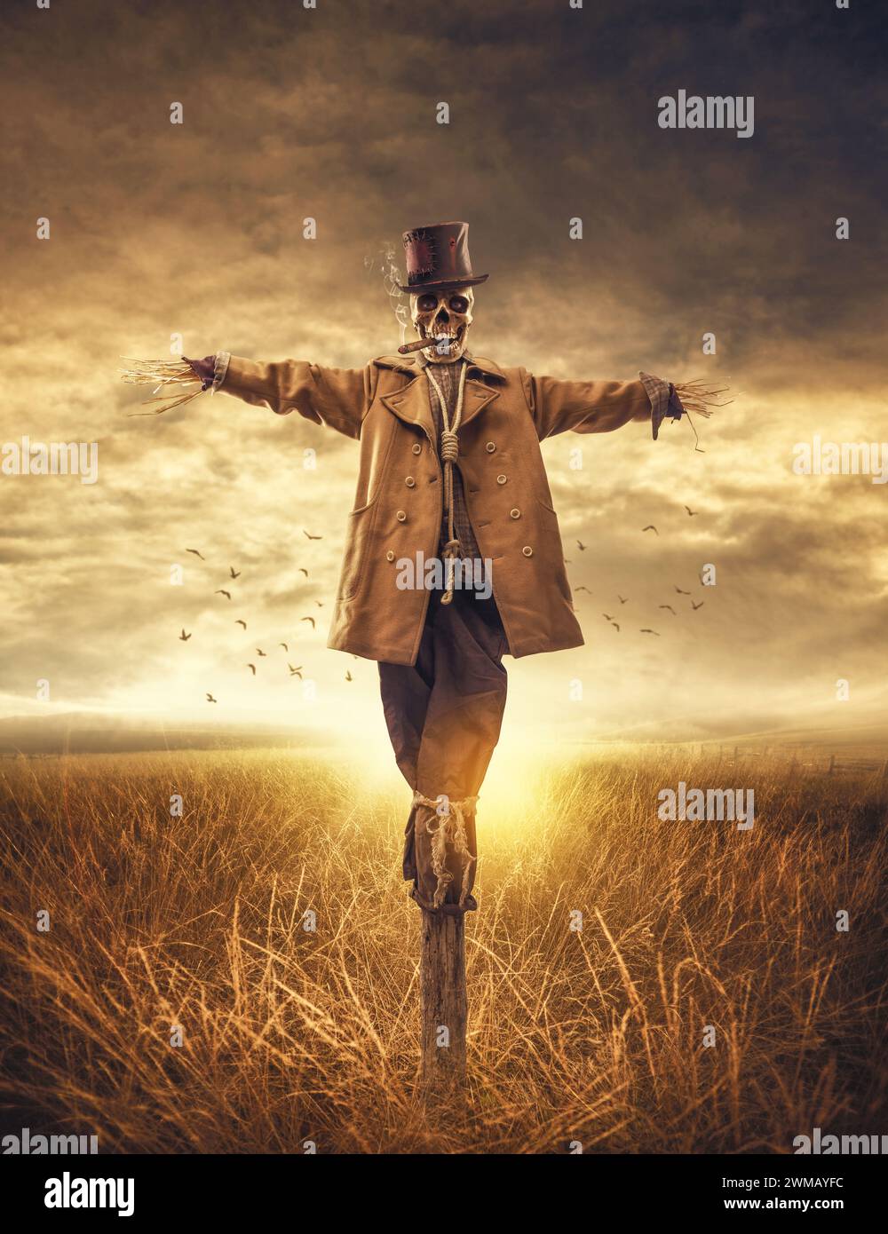 Creepy scarecrow with skull head in the fields at sunset, horror ...