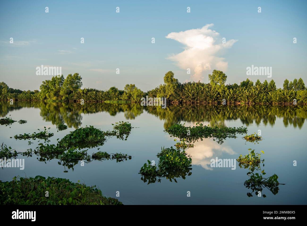the Bang Pakong River at Village Khlong Khuean near city Mueang ...