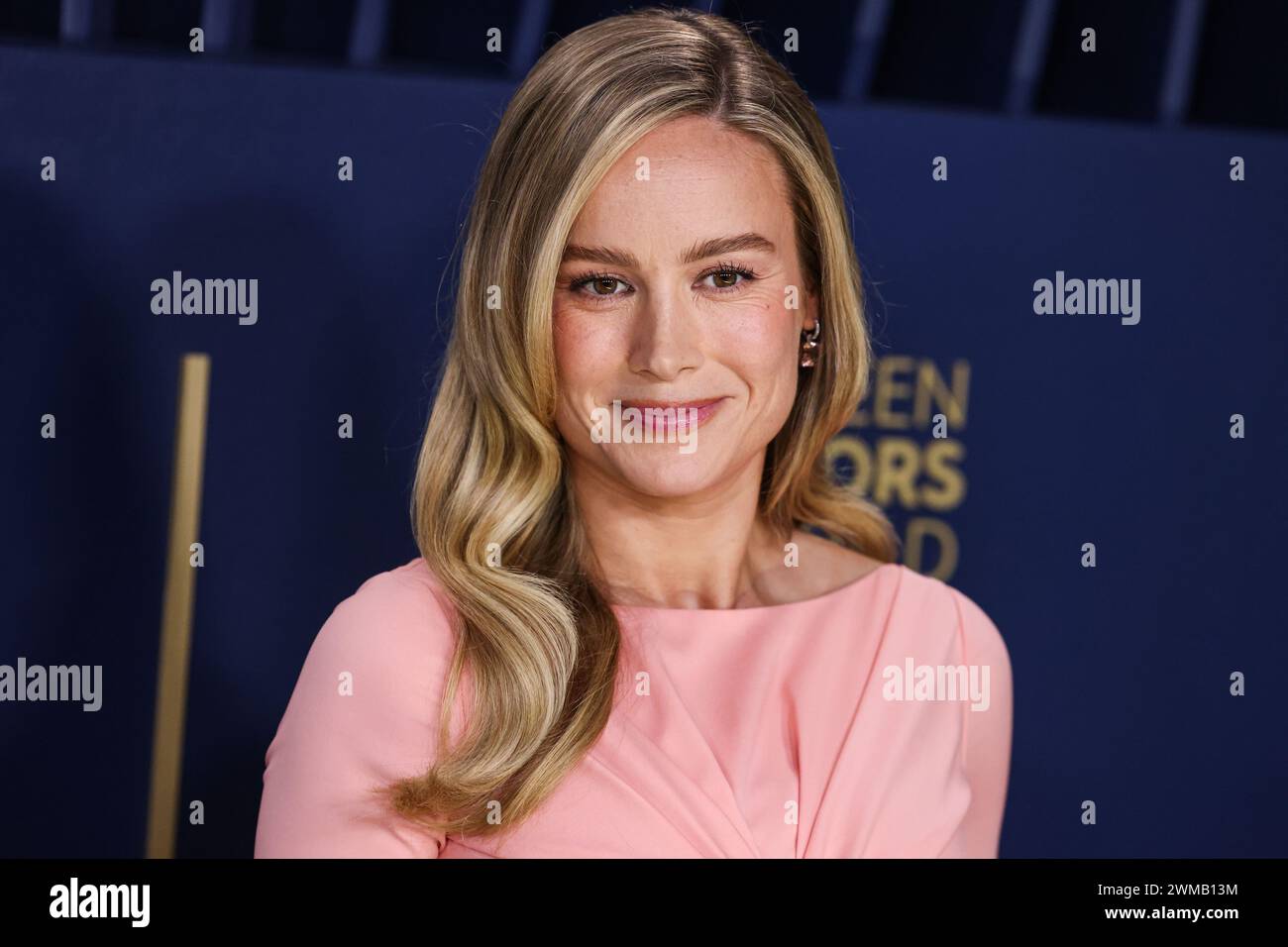 LOS ANGELES, CALIFORNIA, USA - FEBRUARY 24: Brie Larson wearing a ...