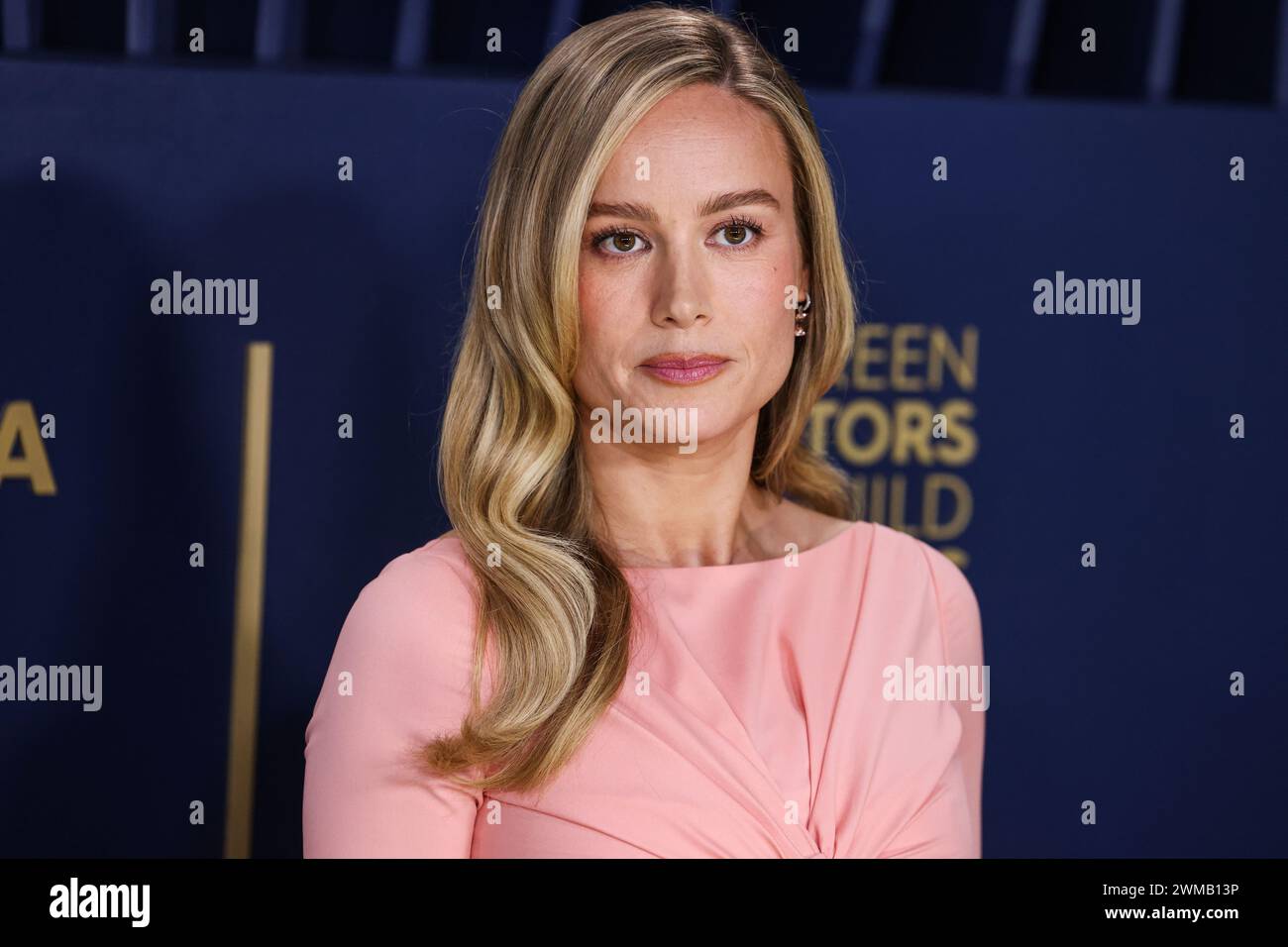 LOS ANGELES, CALIFORNIA, USA - FEBRUARY 24: Brie Larson wearing a ...