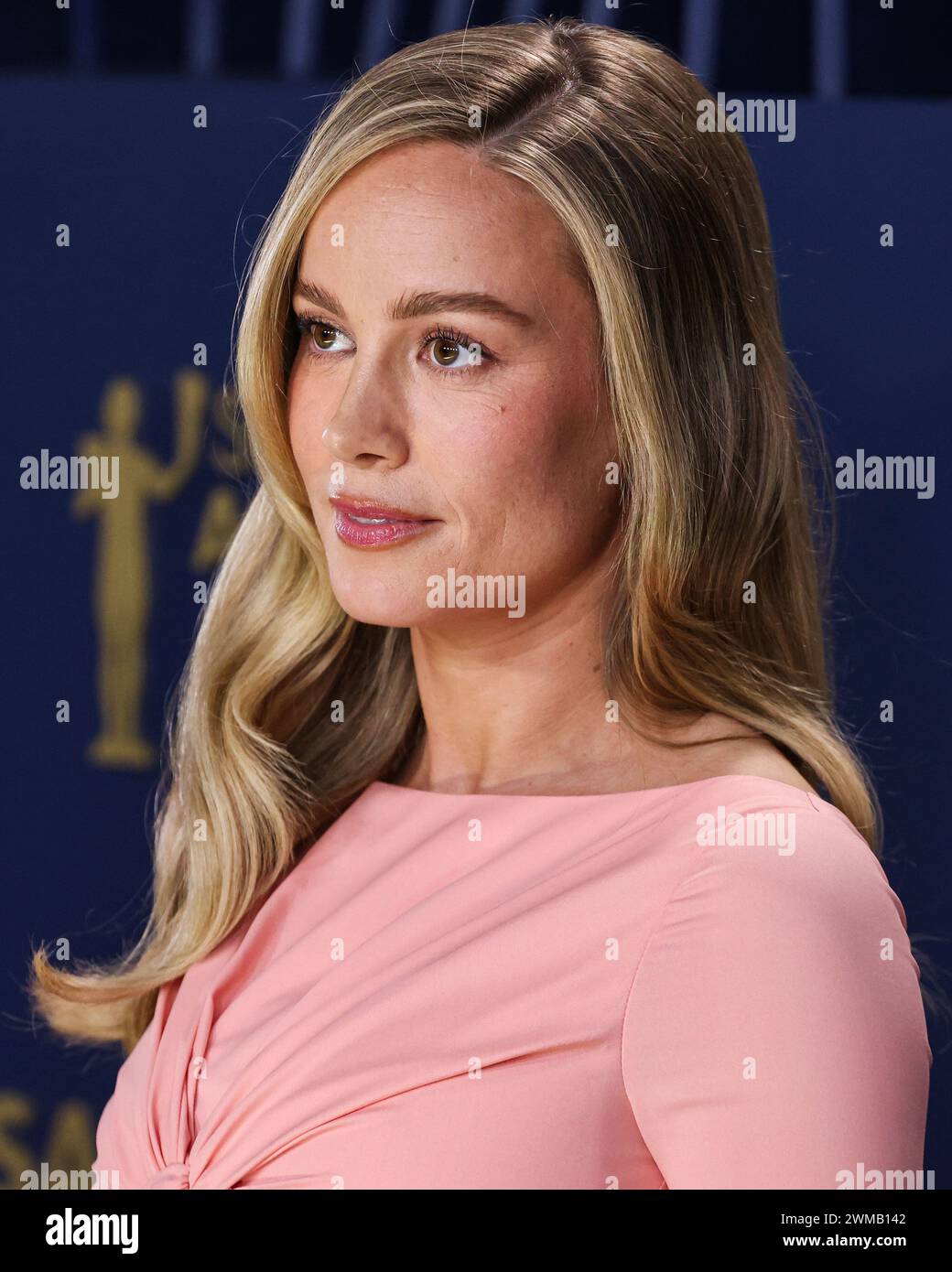 LOS ANGELES, CALIFORNIA, USA - FEBRUARY 24: Brie Larson wearing a ...
