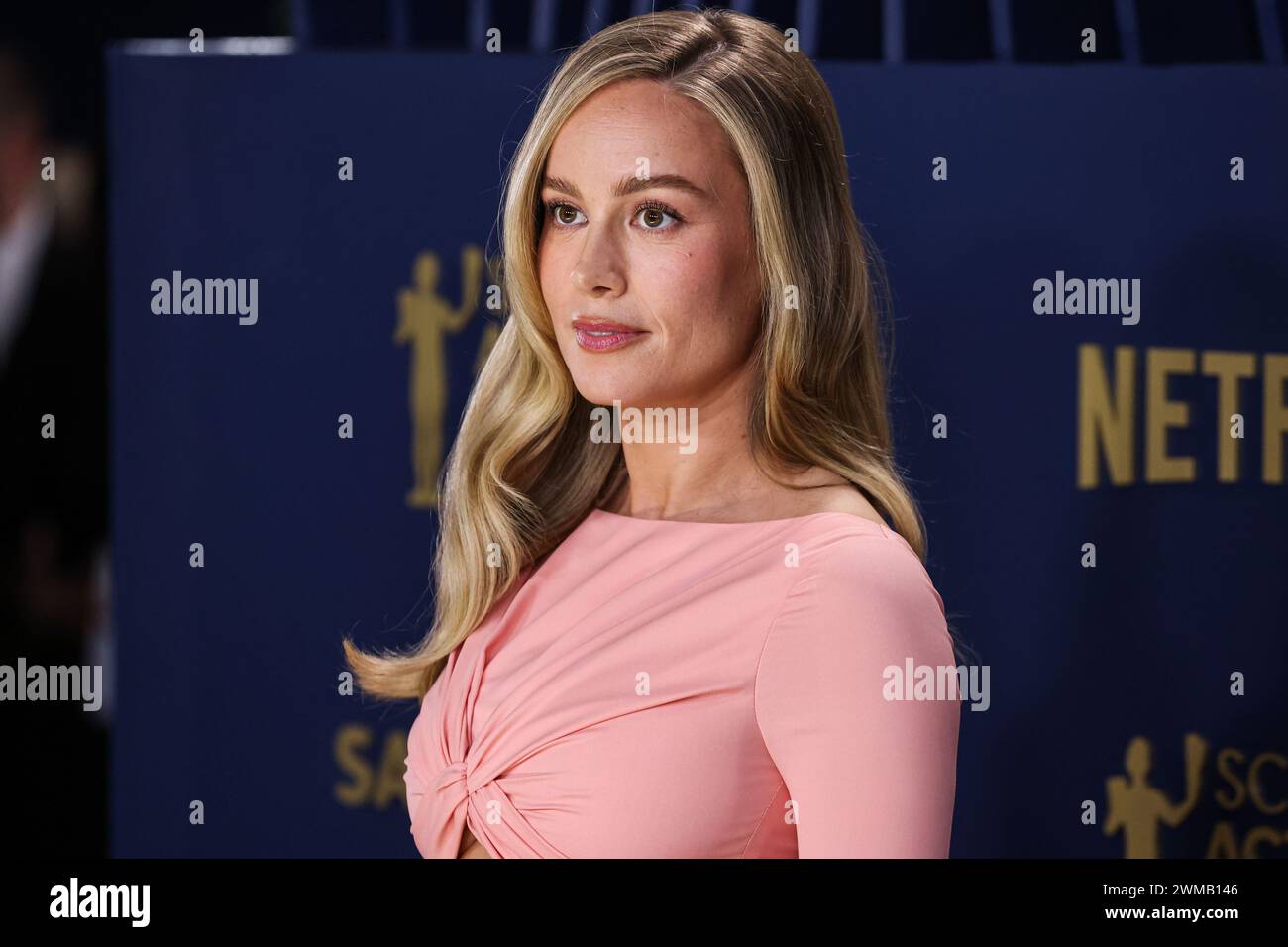 LOS ANGELES, CALIFORNIA, USA - FEBRUARY 24: Brie Larson wearing a ...