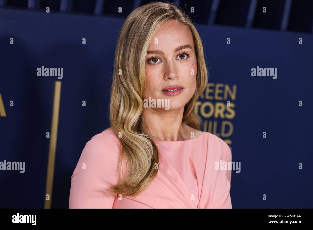 LOS ANGELES, CALIFORNIA, USA - FEBRUARY 24: Brie Larson wearing a ...
