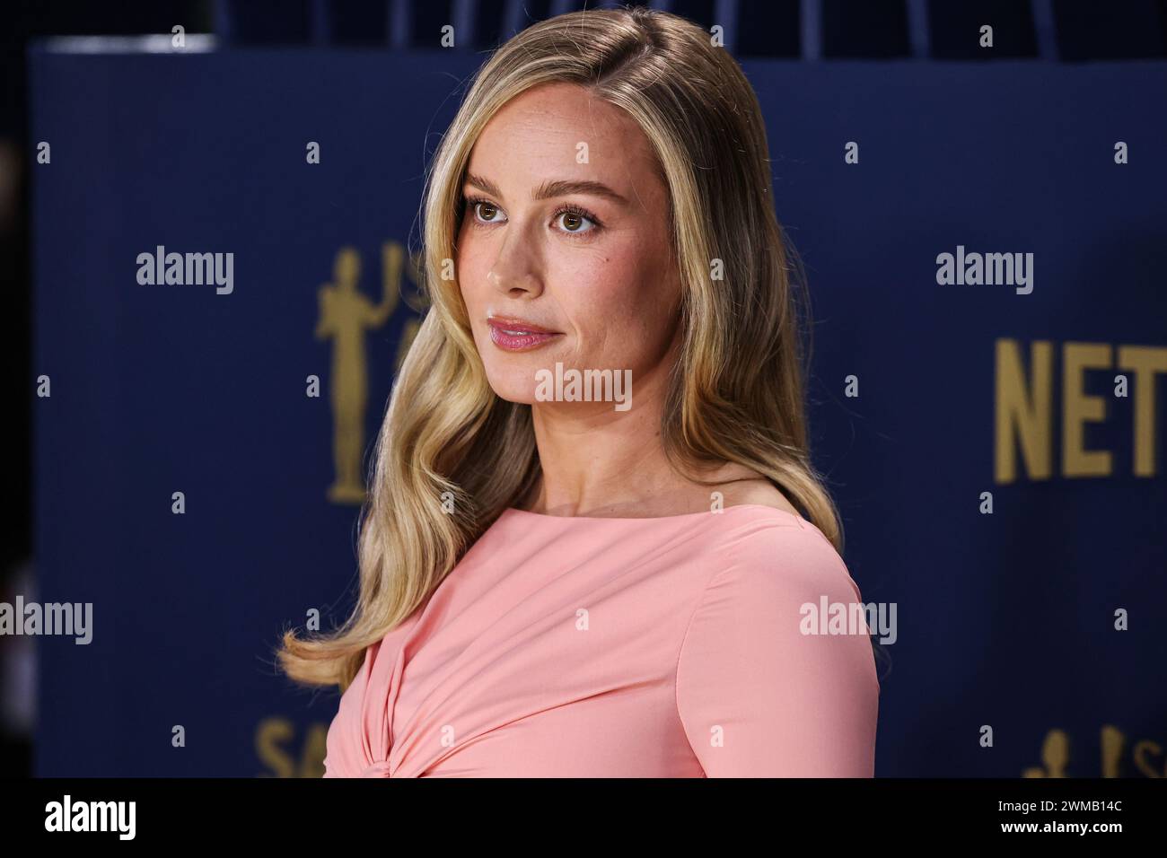 LOS ANGELES, CALIFORNIA, USA - FEBRUARY 24: Brie Larson wearing a ...