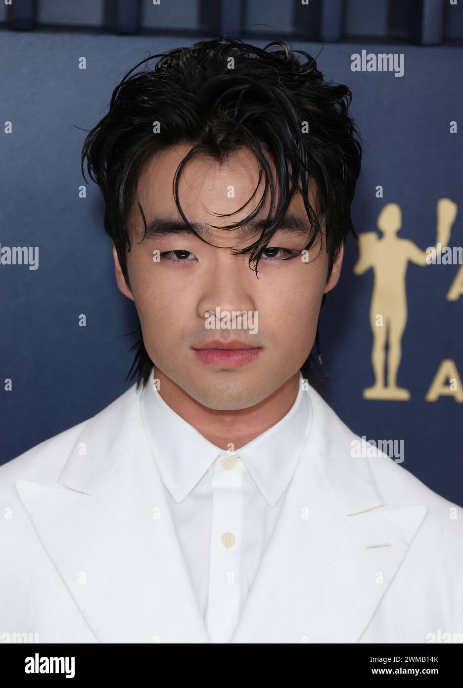 LOS ANGELES, CALIFORNIA, USA - FEBRUARY 24: Dallas Liu arrives at the ...