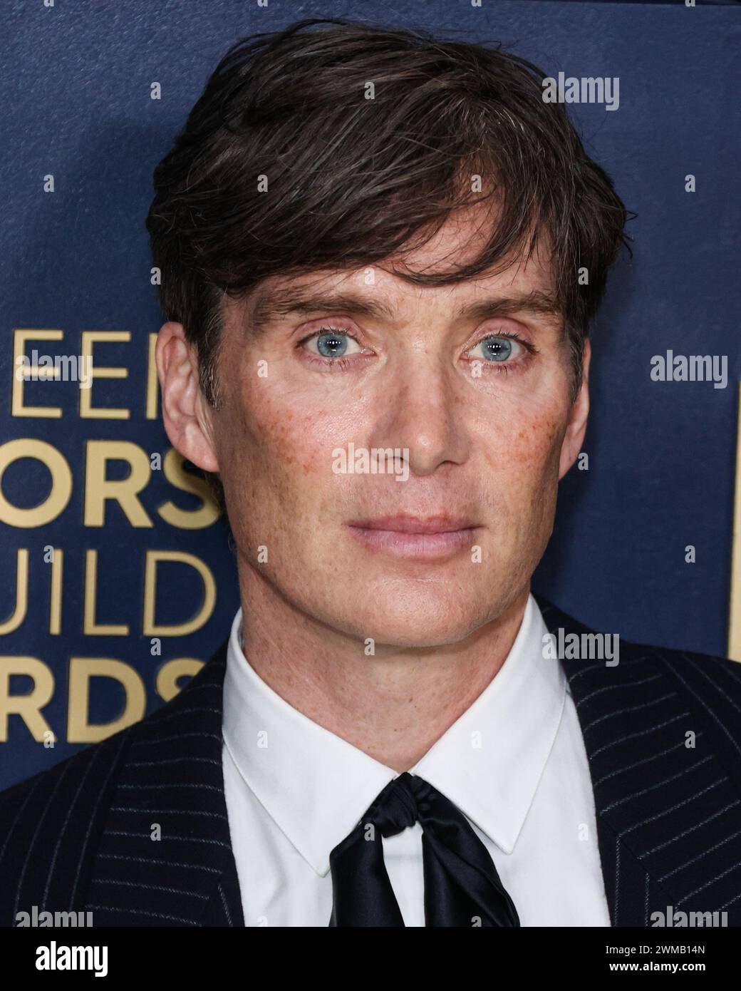 LOS ANGELES, CALIFORNIA, USA - FEBRUARY 24: Cillian Murphy wearing ...