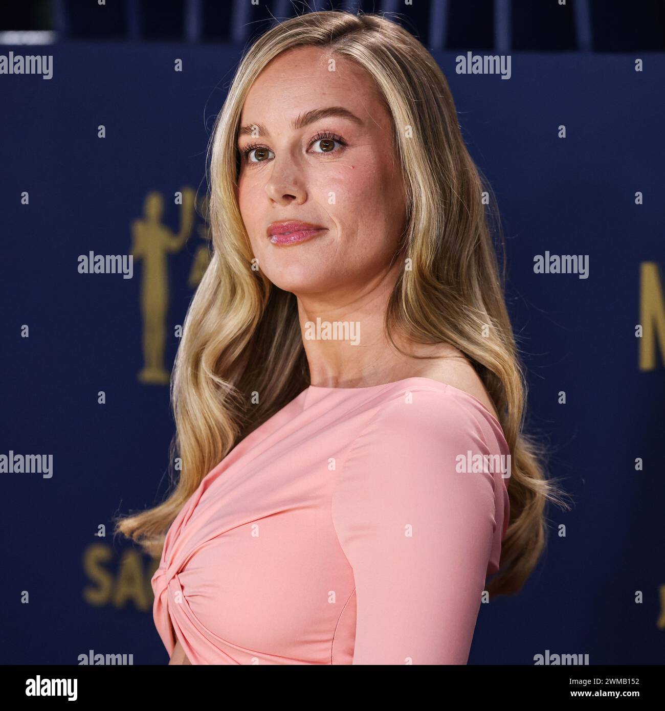 LOS ANGELES, CALIFORNIA, USA - FEBRUARY 24: Brie Larson wearing a ...