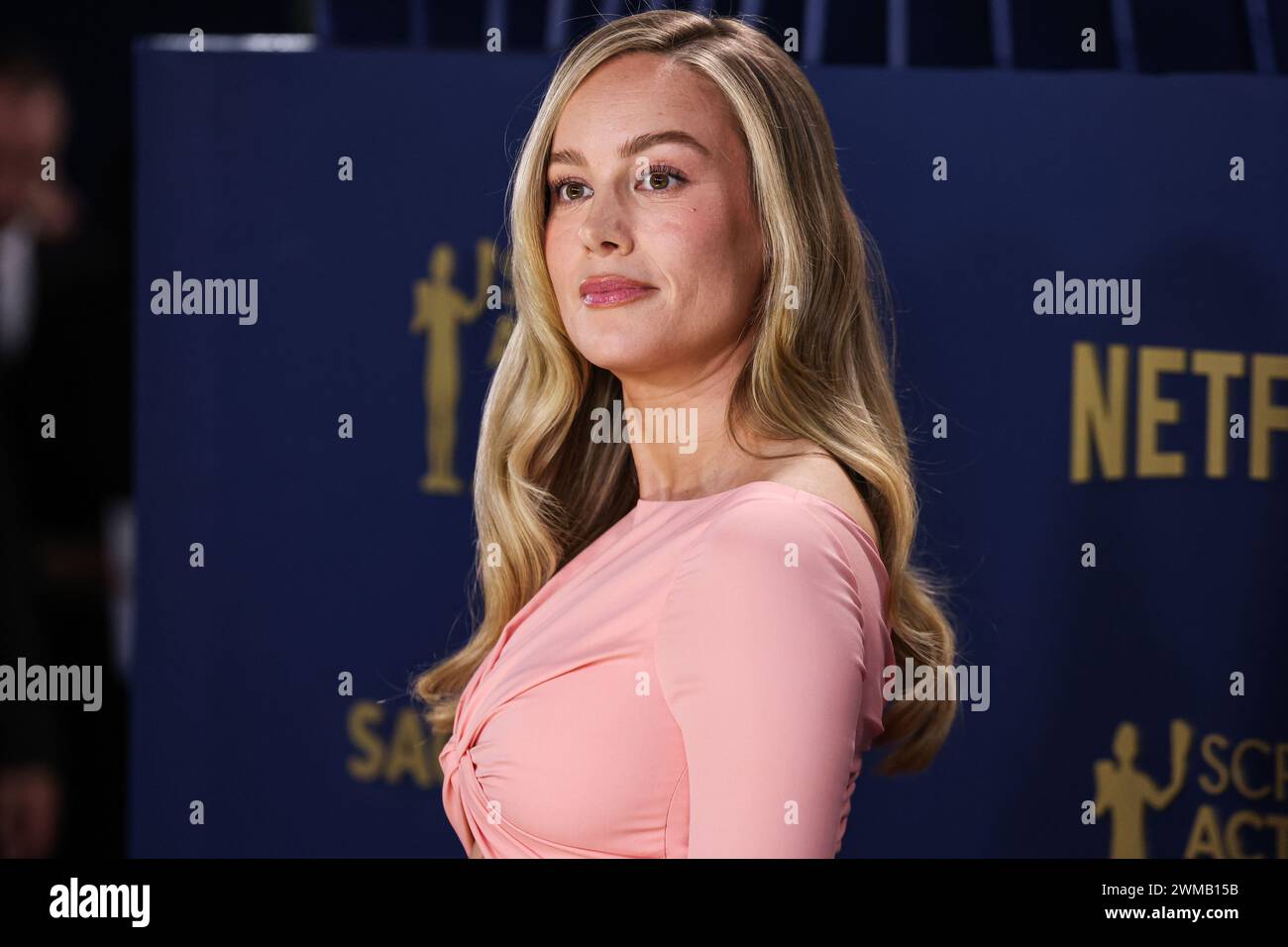 LOS ANGELES, CALIFORNIA, USA - FEBRUARY 24: Brie Larson wearing a ...